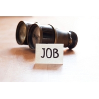 How to job hunt smarter, not harder